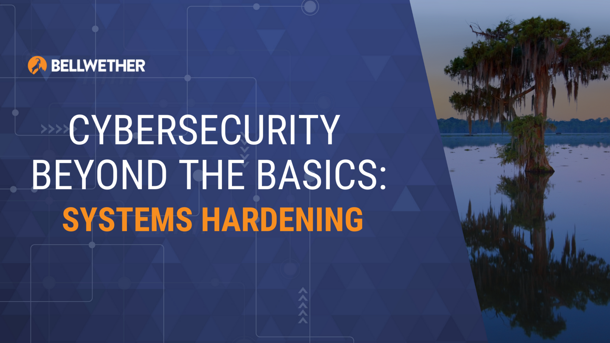 Cybersecurity Beyond the Basics: Systems Hardening - Bellwether Technology