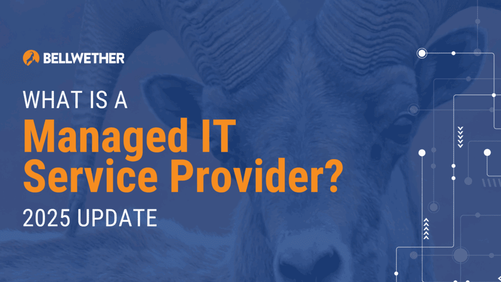 What is a Managed IT Service Provider?
