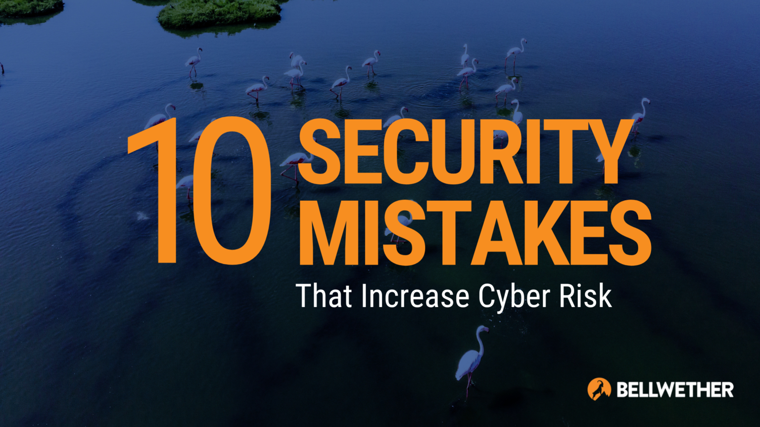 10 Security Mistakes That Increase Cyber Risk