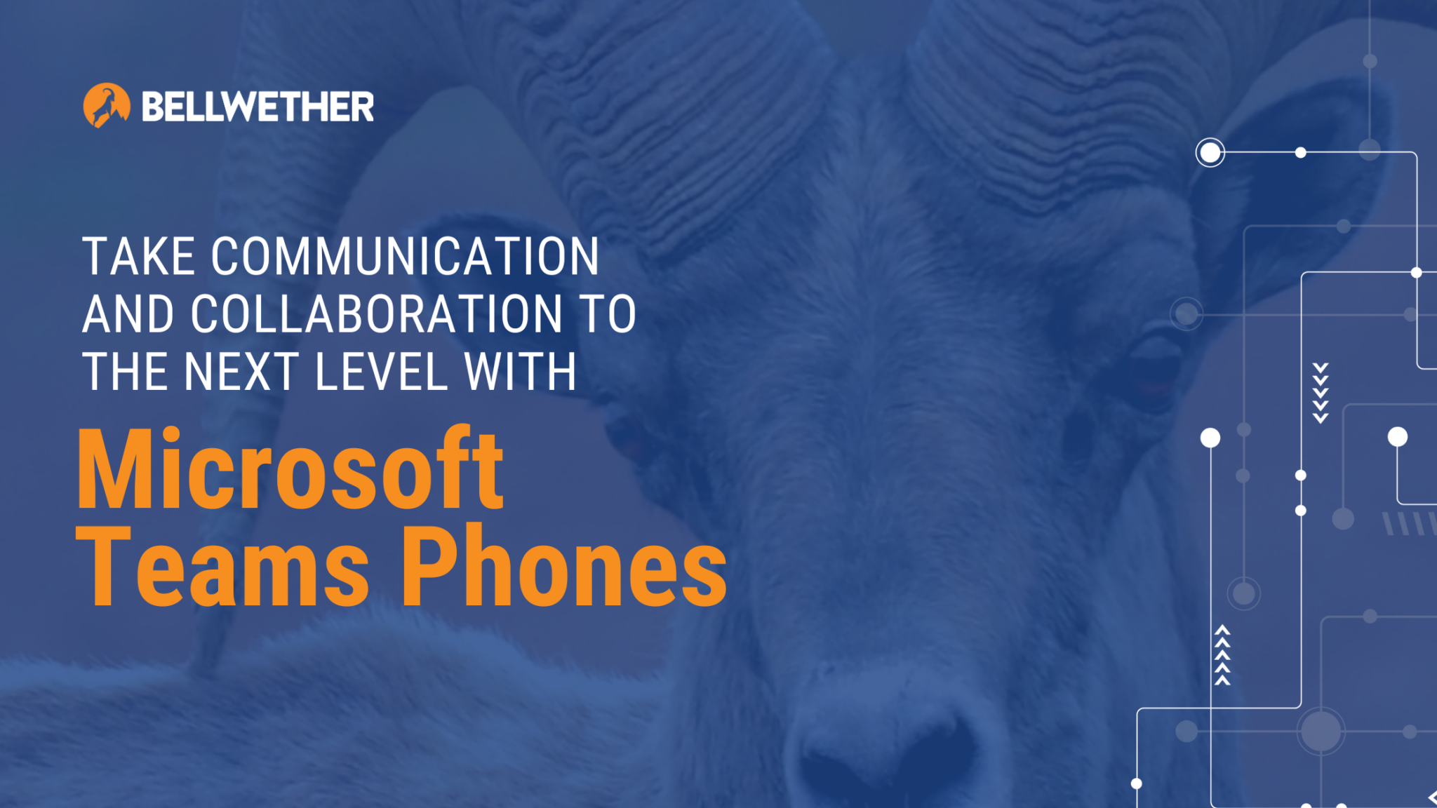 Take Communication and Collaboration to the Next Level with Microsoft ...