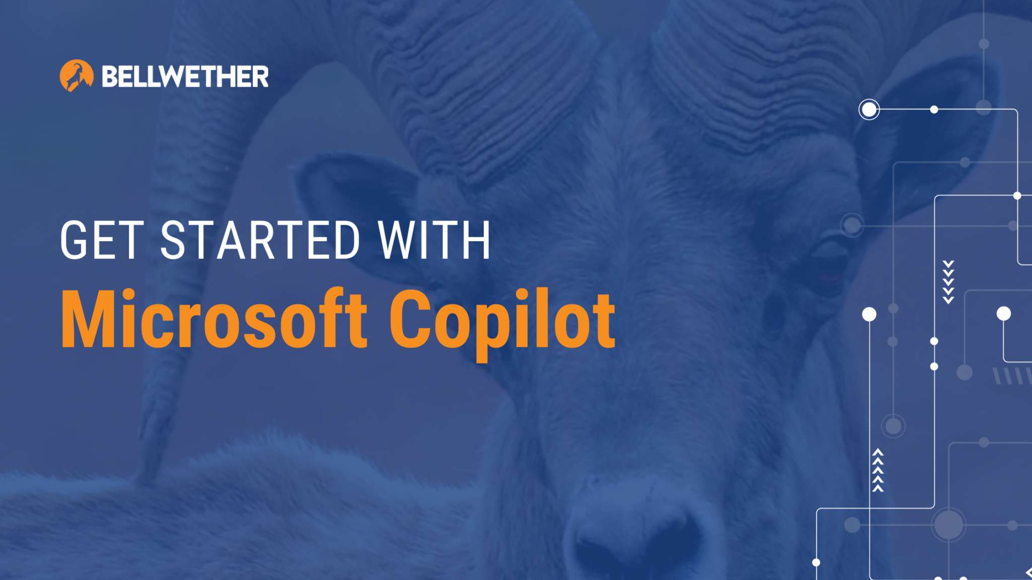 Get Started with Microsoft Copilot - Bellwether Technology