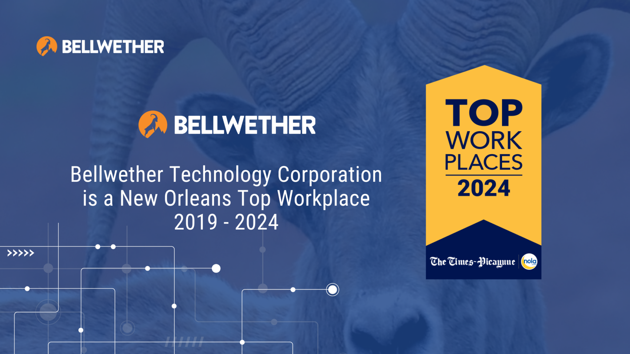 Blog - Bellwether Technology