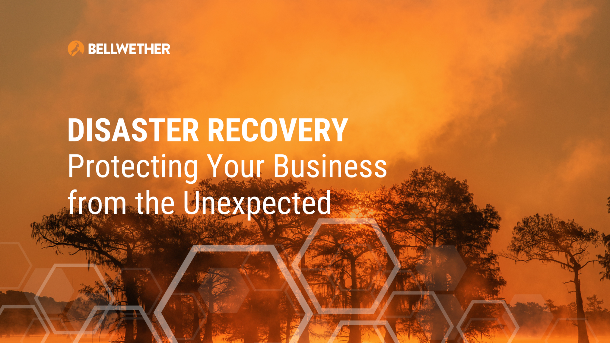 Disaster Recovery: Protecting Your Business from the Unexpected ...