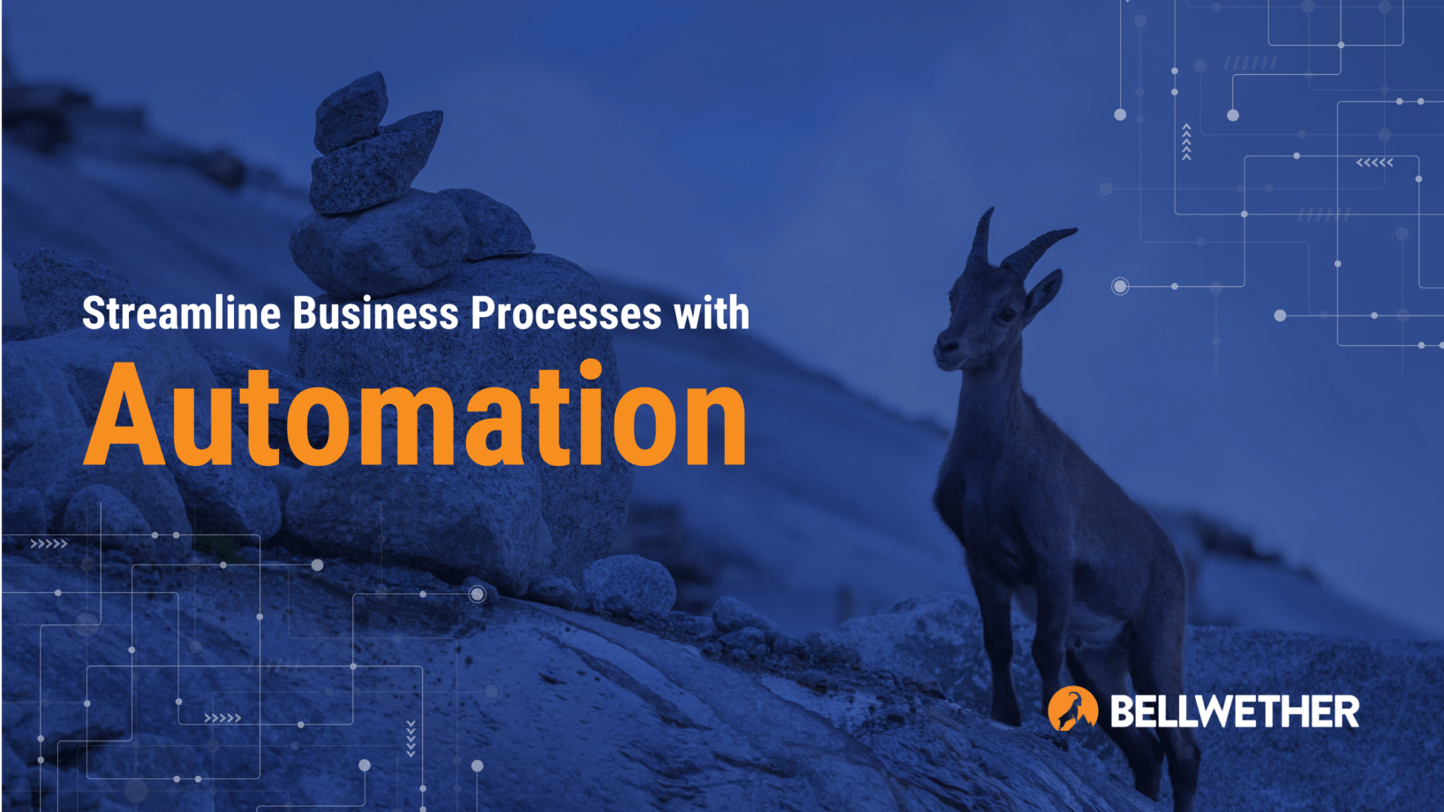 Streamline Business Processes with Automation