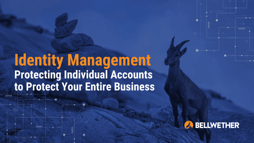 Identity Management: Protecting Individual Accounts to Protect Your ...